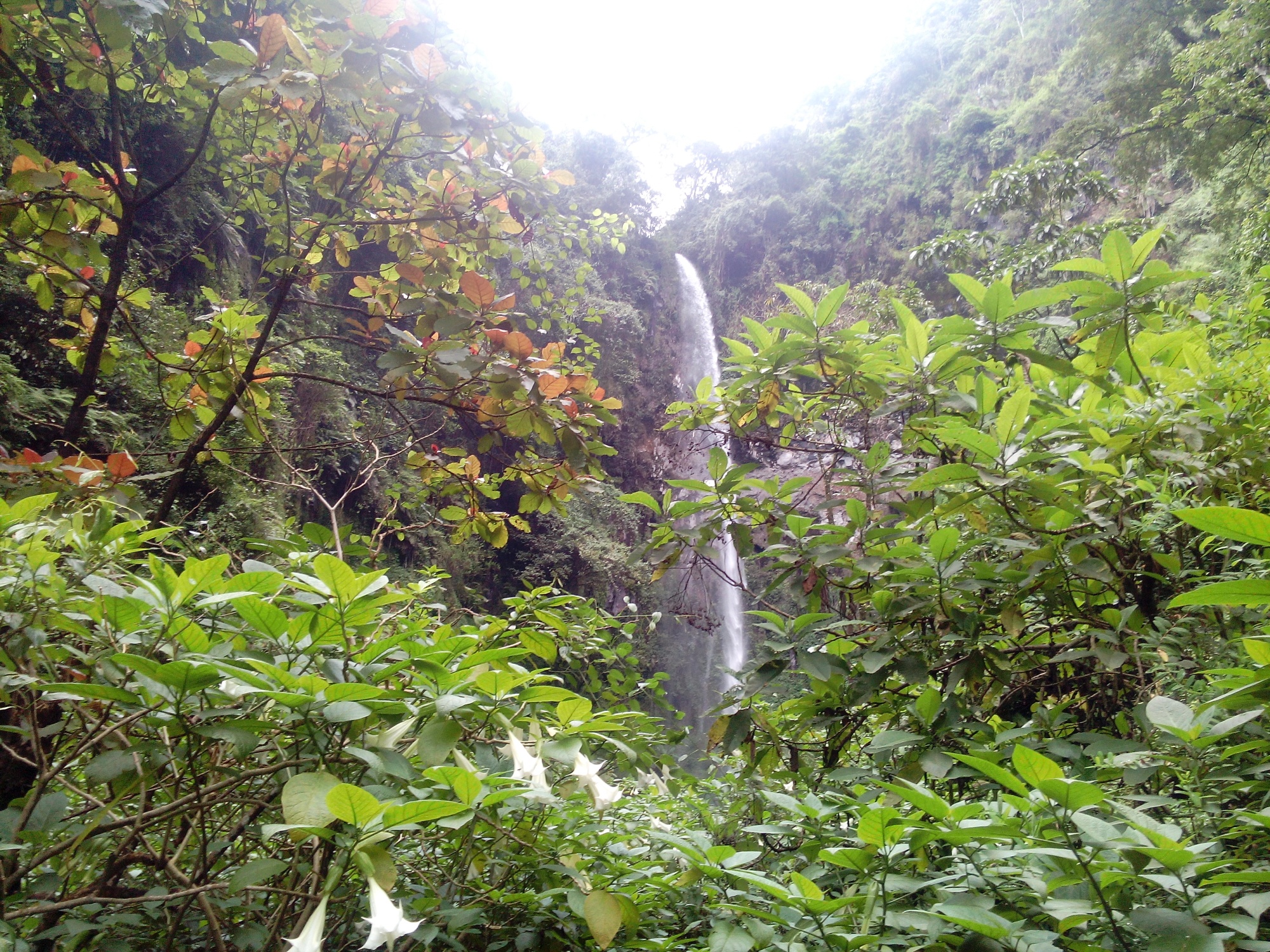 Day tour Mambori Waterfalls | Livingstone safari Tanzania